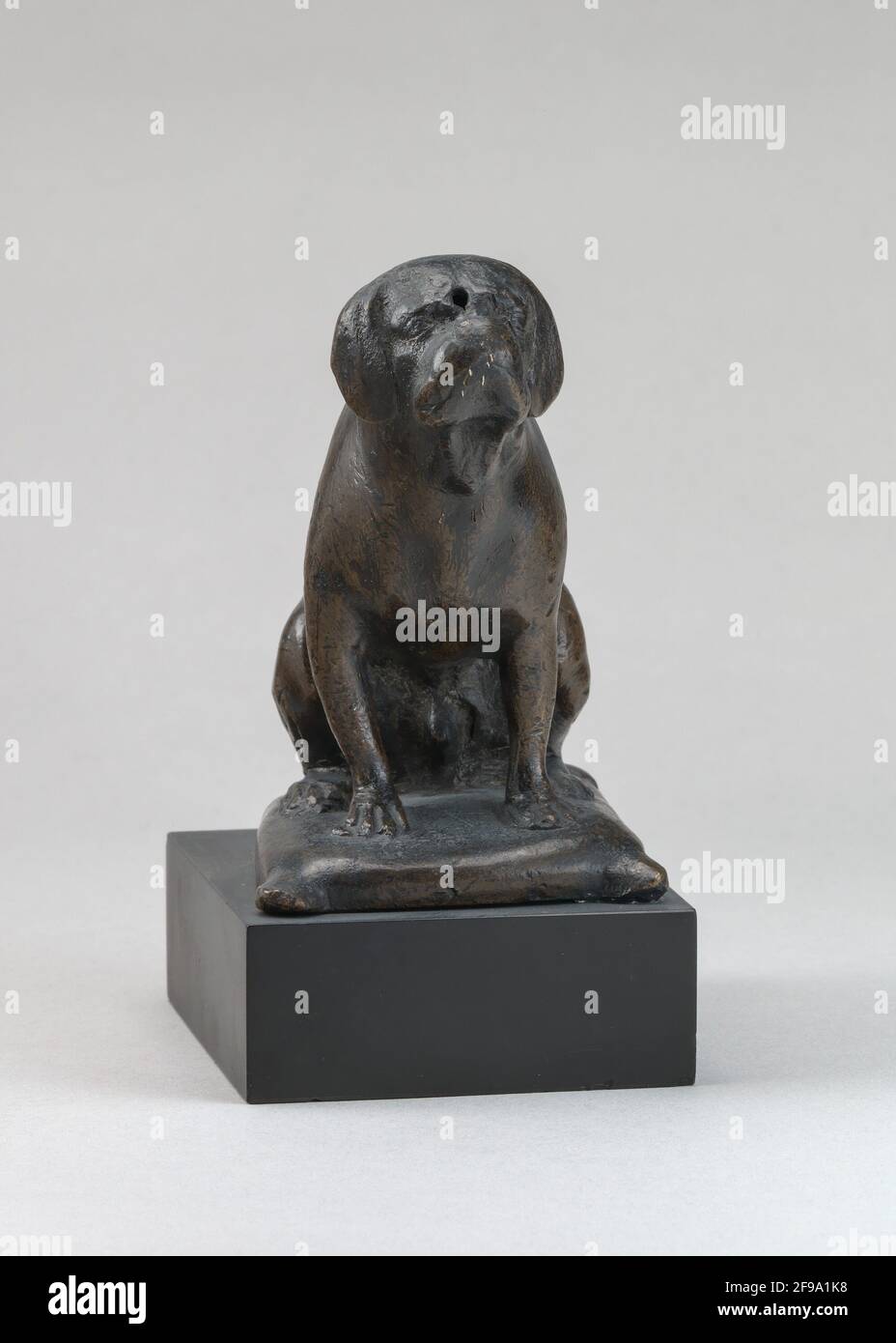 A Dog, 16th century Stock Photo - Alamy