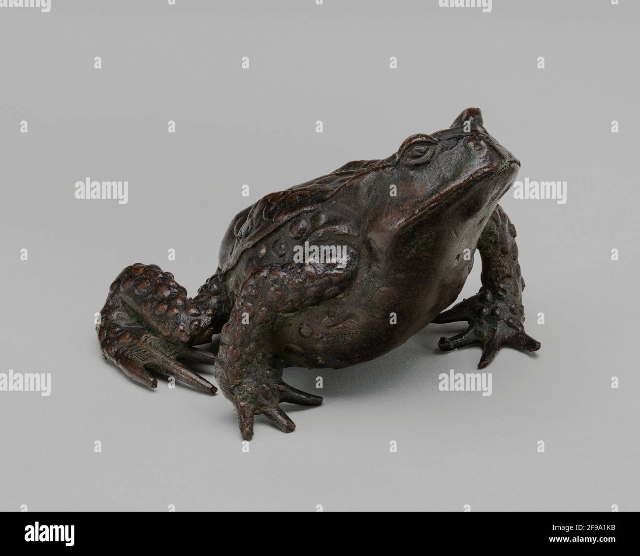 A Toad, early 16th century Stock Photo - Alamy