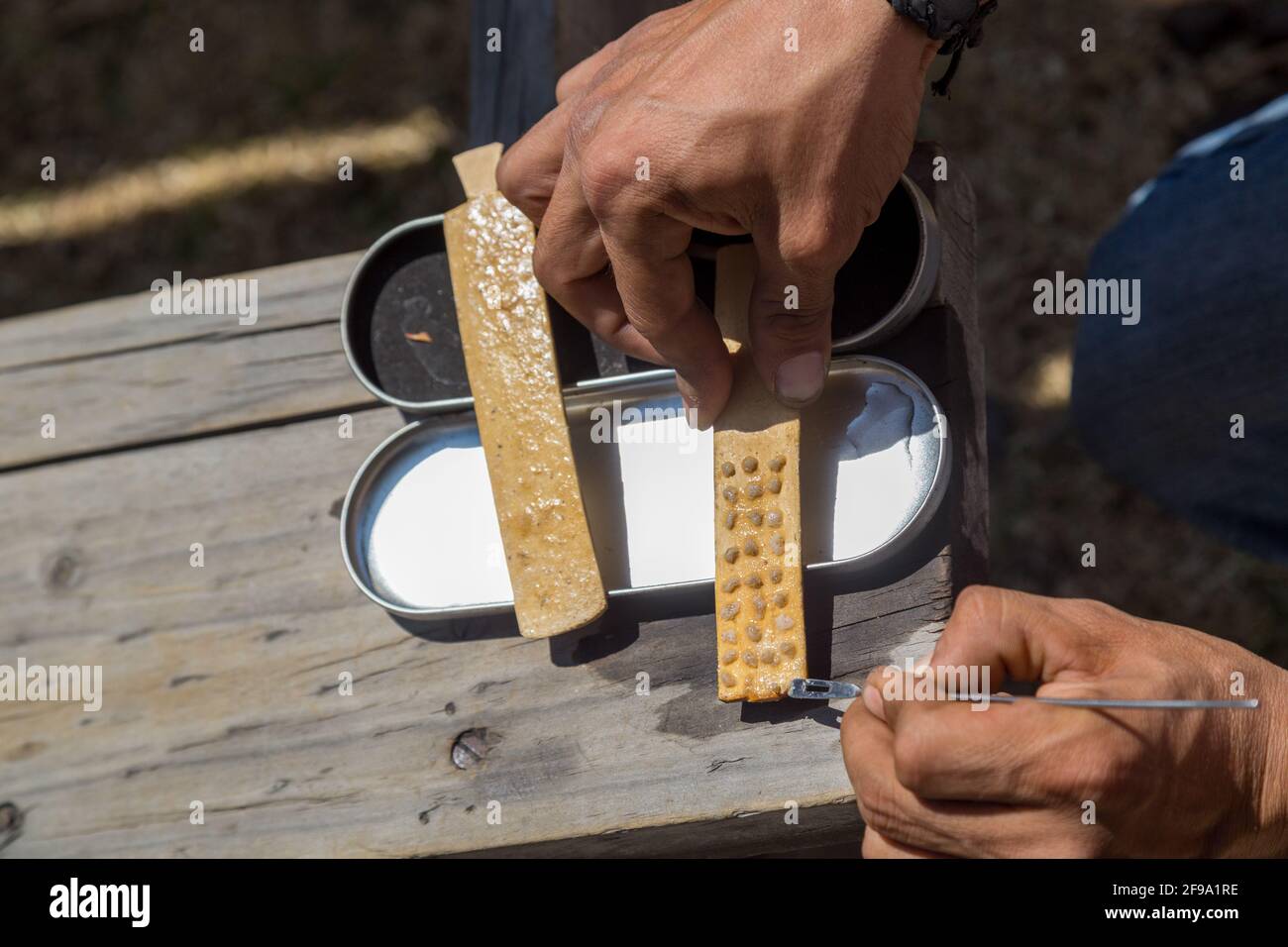 Man preparing kambo amazon frog poison medicine for body detox Stock ...
