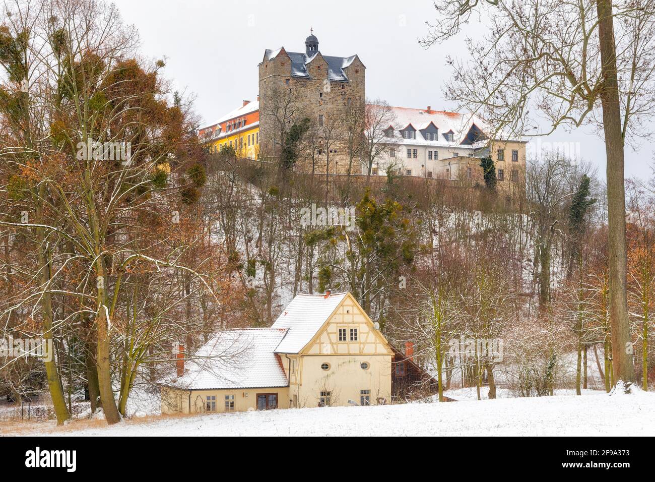 Schlosspark Ballenstedt im Winter Stock Photo - Alamy