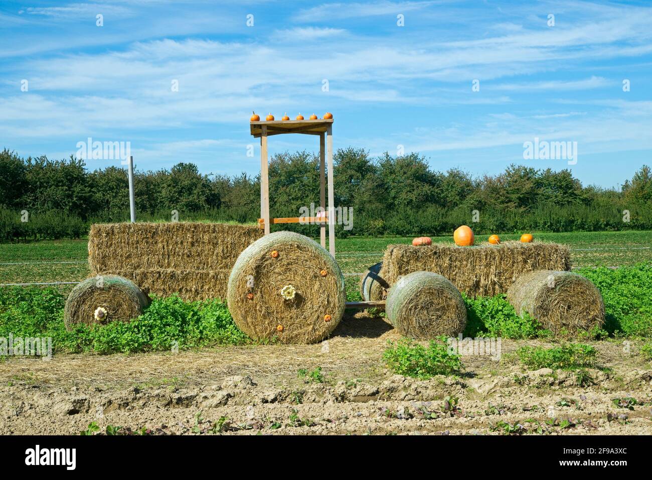 Straw figure hi-res stock photography and images - Alamy