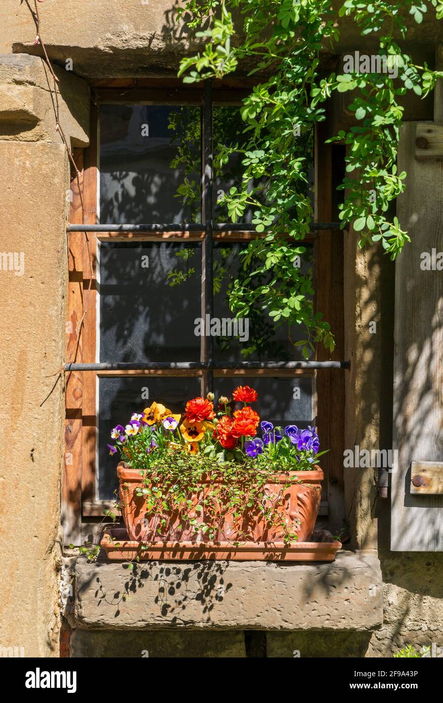 Floral window boxes hi-res stock photography and images - Alamy