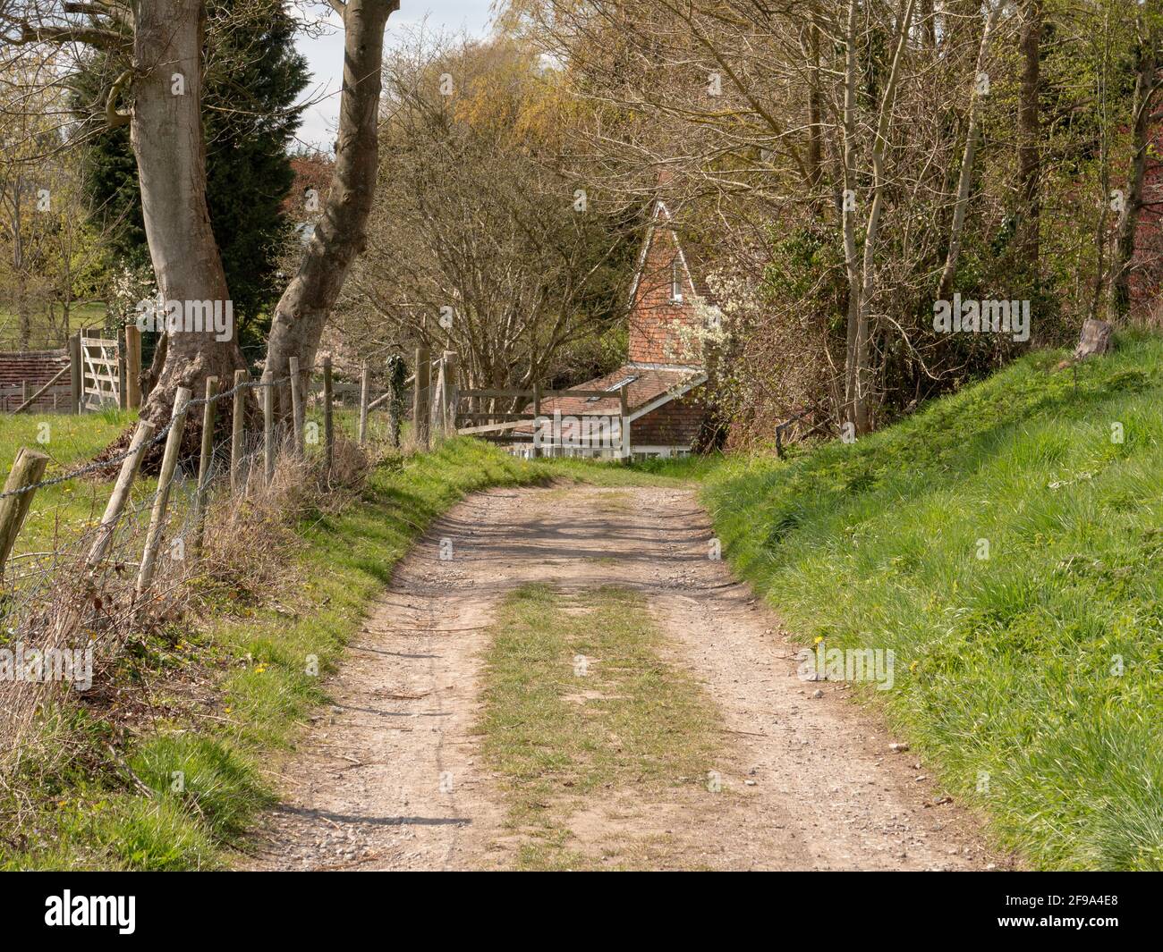 English country lane in spring hi-res stock photography and images - Alamy