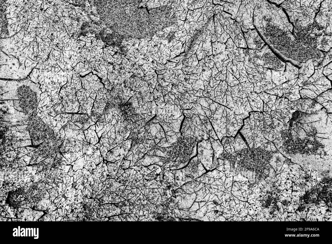 Top view of dry cracked ground texture in grayscale Stock Photo - Alamy