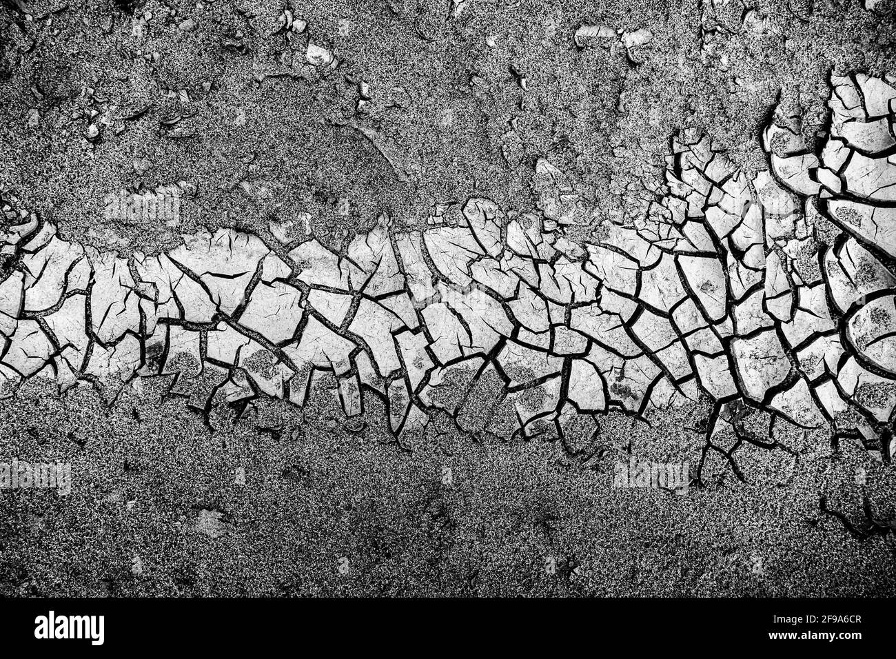 Top view of dry cracked ground texture in grayscale Stock Photo - Alamy