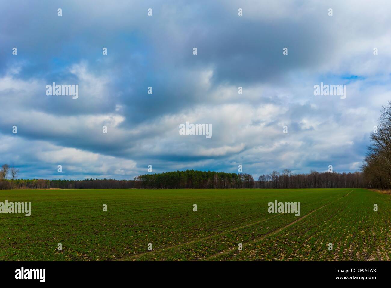 Green field winter hi-res stock photography and images - Alamy