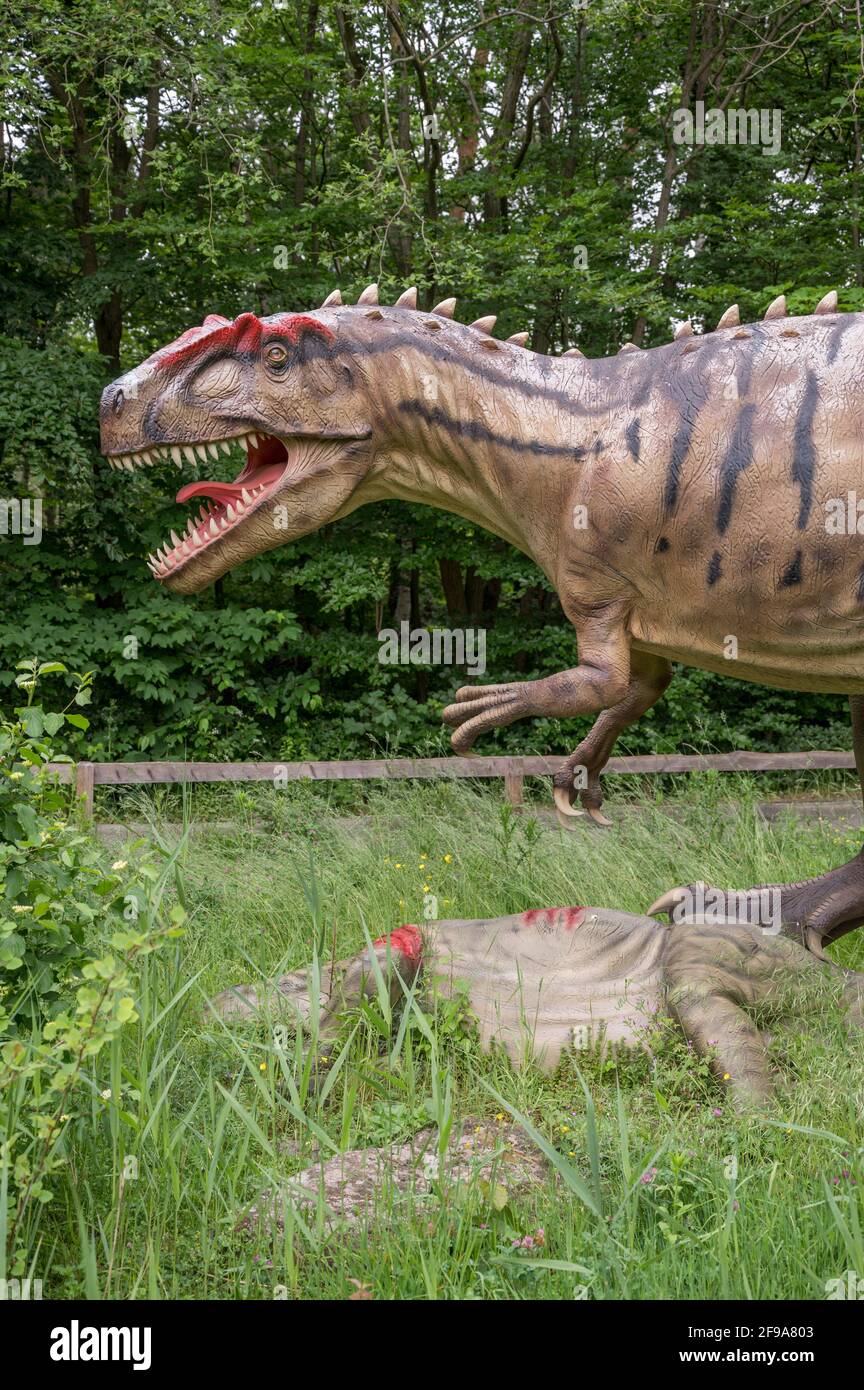 Allosaurus with dead stegosaurus, dinosaur models in Dinopark ...