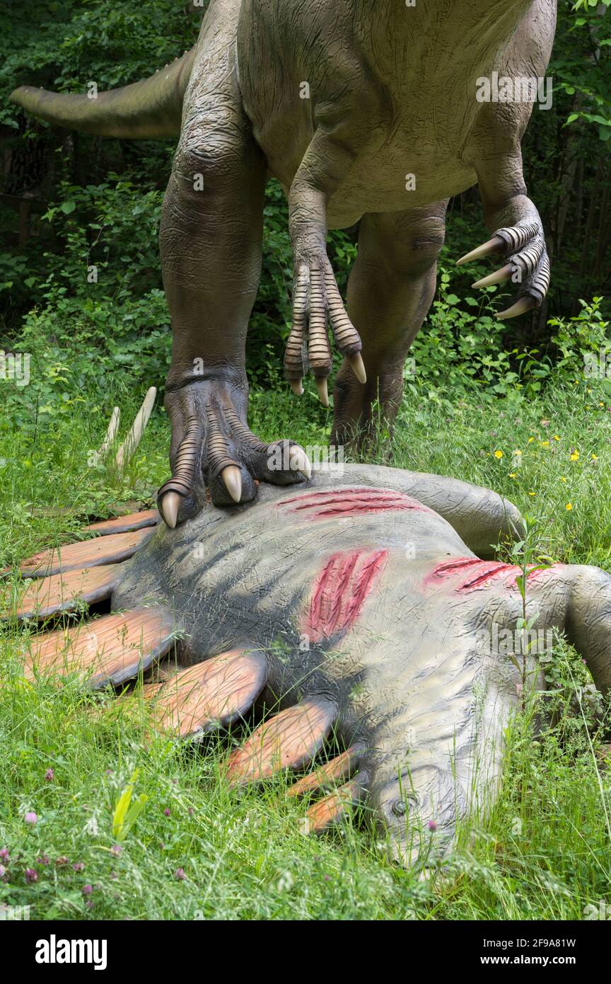Allosaurus with dead stegosaurus, dinosaur models in Dinopark ...
