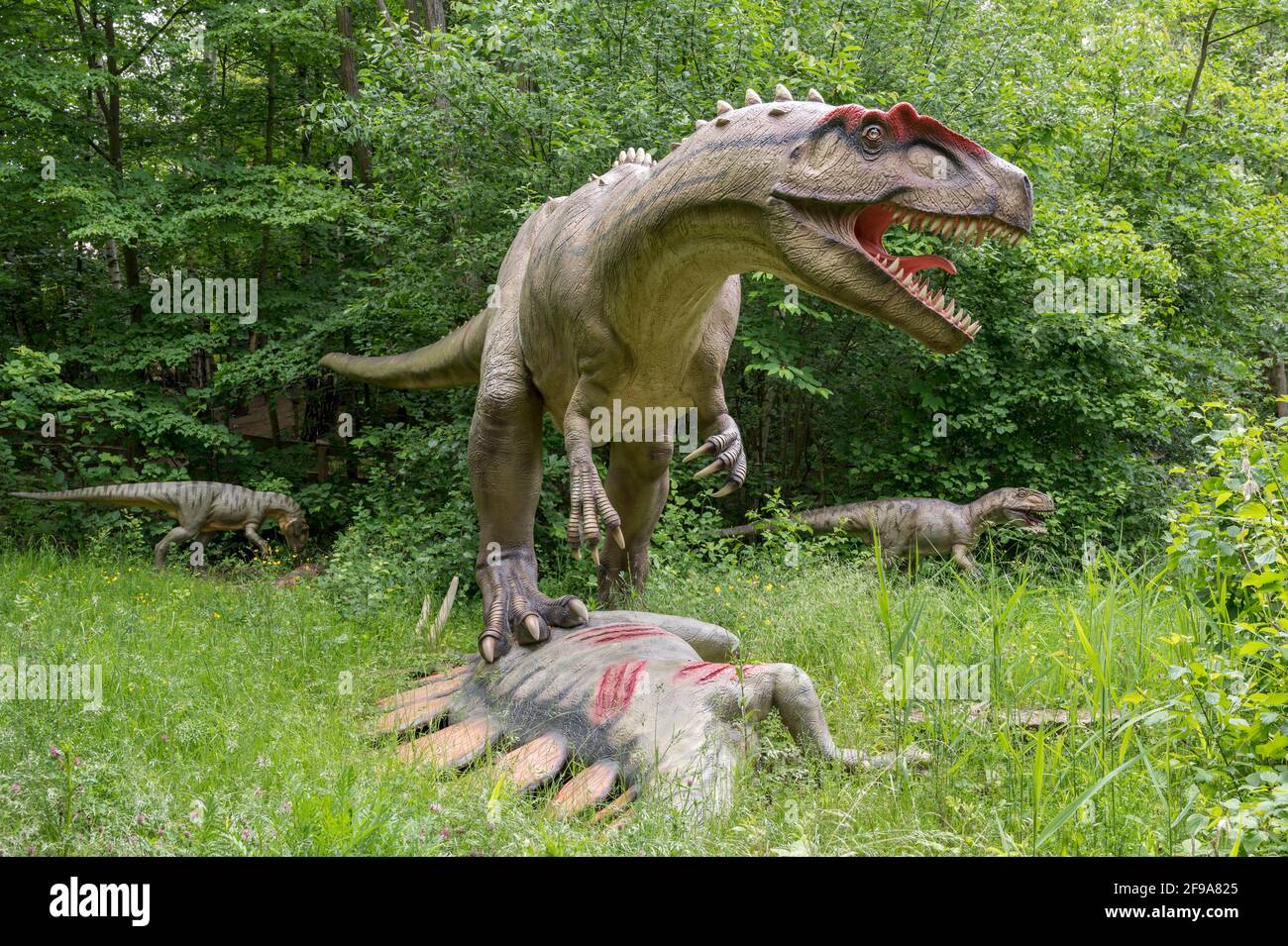 Allosaurus with dead stegosaurus, dinosaur models in Dinopark ...
