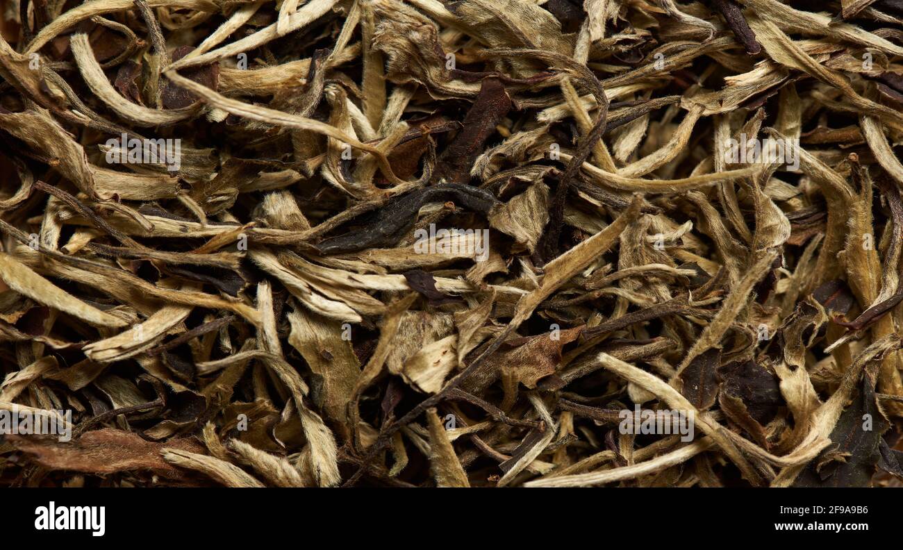 Herbs texture hi-res stock photography and images - Alamy