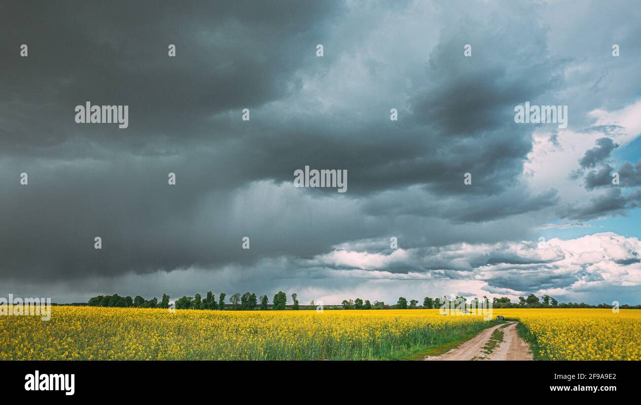 Dramatic Rain Sky With Rain Clouds On Horizon Above Rural Landscape ...
