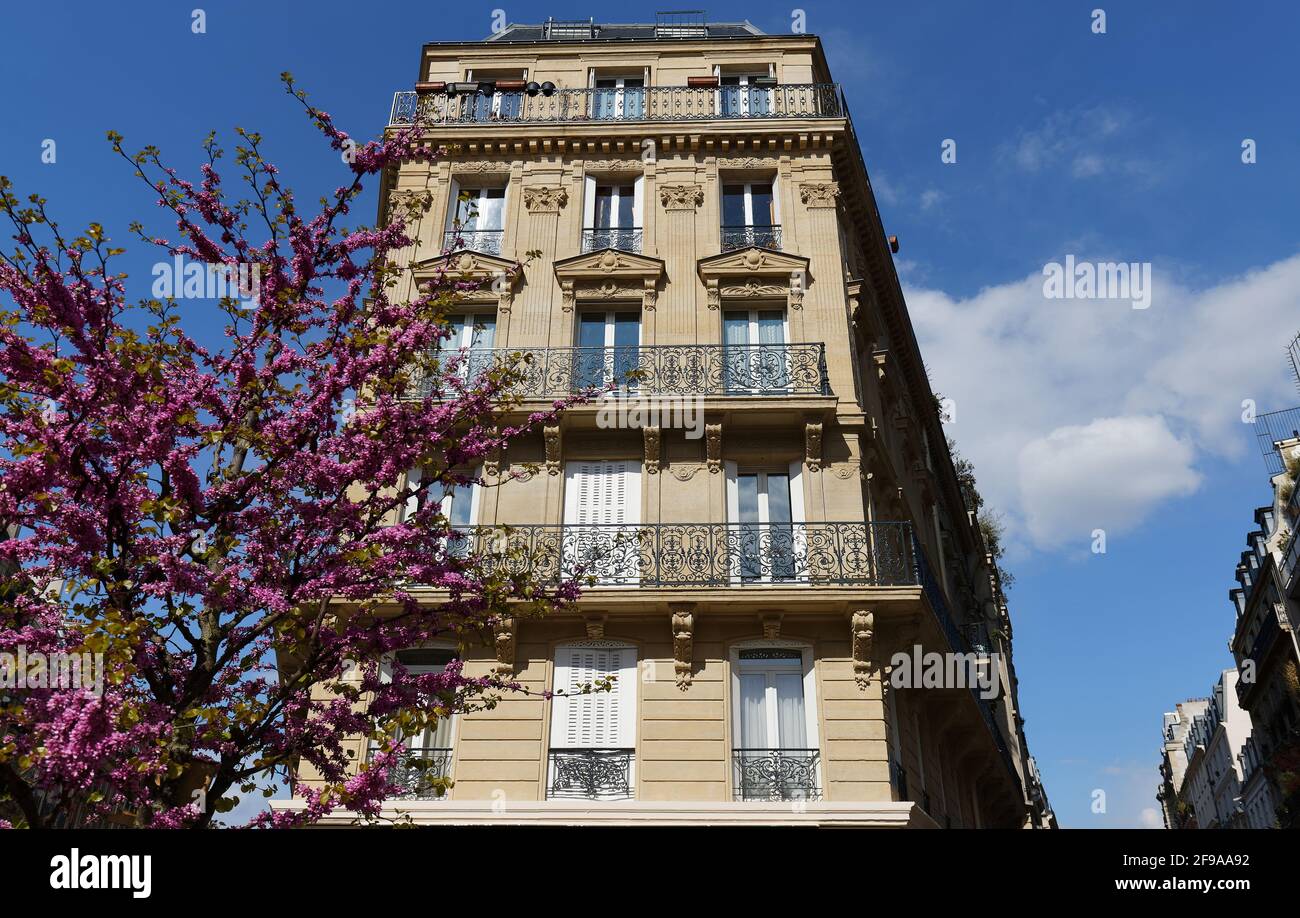 Traditional French house with typical balconies and windows. Paris ...