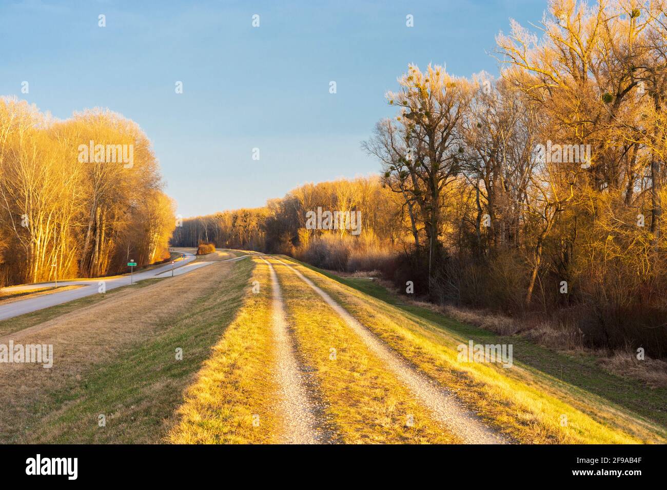 Nationalpark nationalpark donauauen hi-res stock photography and images ...
