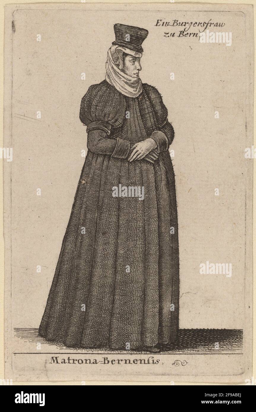 Bernensis hi-res stock photography and images - Alamy