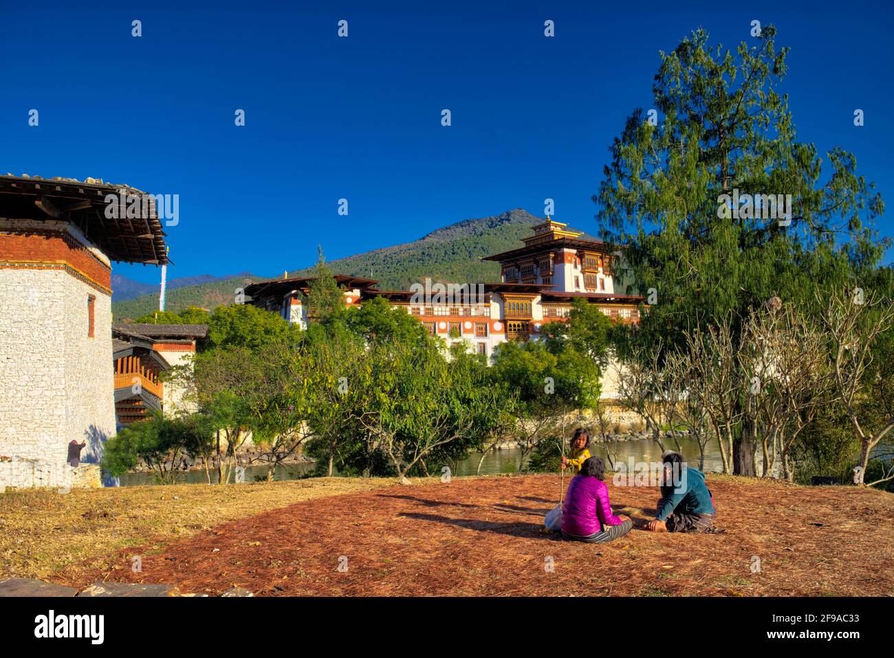 Seen from afar, the witness of Bhutan’s history is a beautiful Tibetan ...