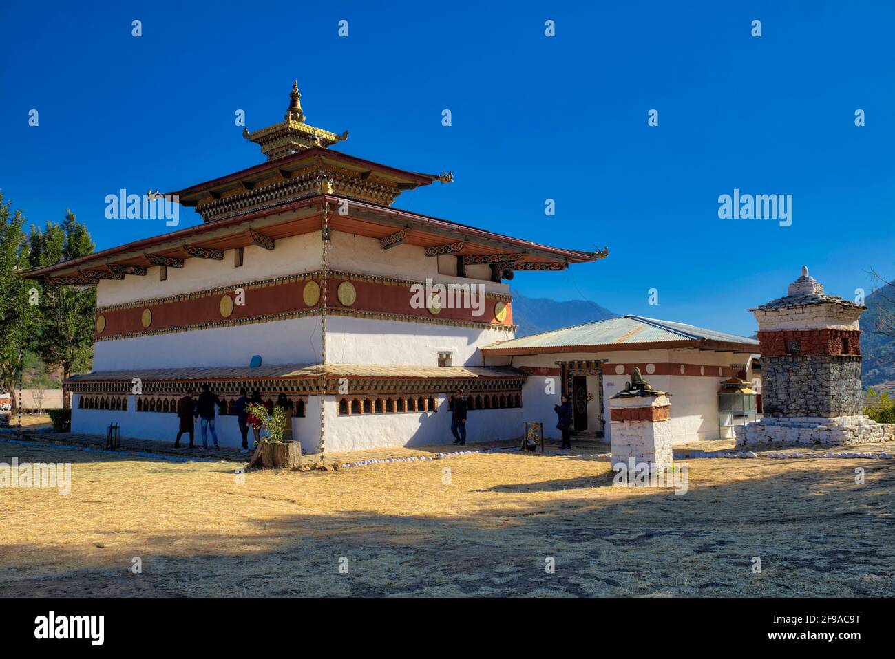 The temple of Chimi Lhakhang in Bhutan is elegantly designed with brown ...