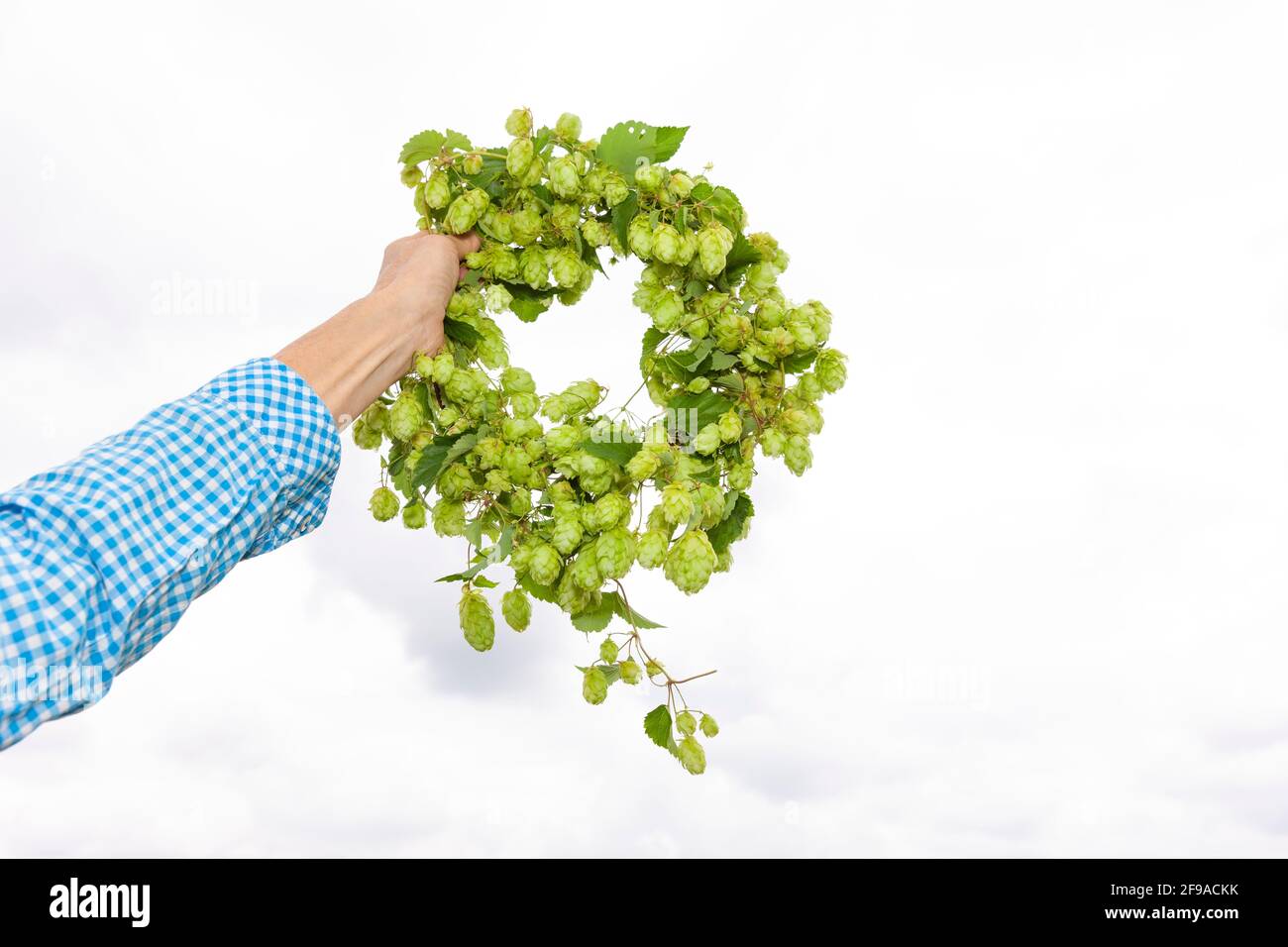 Hand Hops High Resolution Stock Photography and Images - Alamy