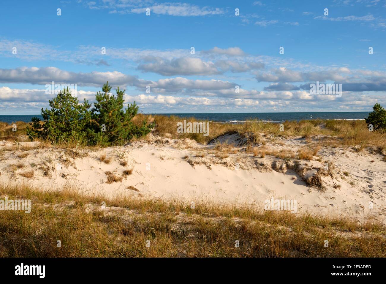 North beach and dunes in the Baltic resort of Prerow on the Darß ...