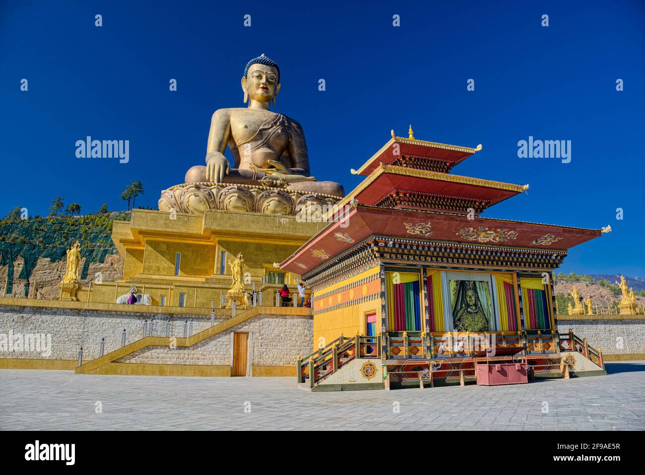 The first yogi hi-res stock photography and images - Alamy
