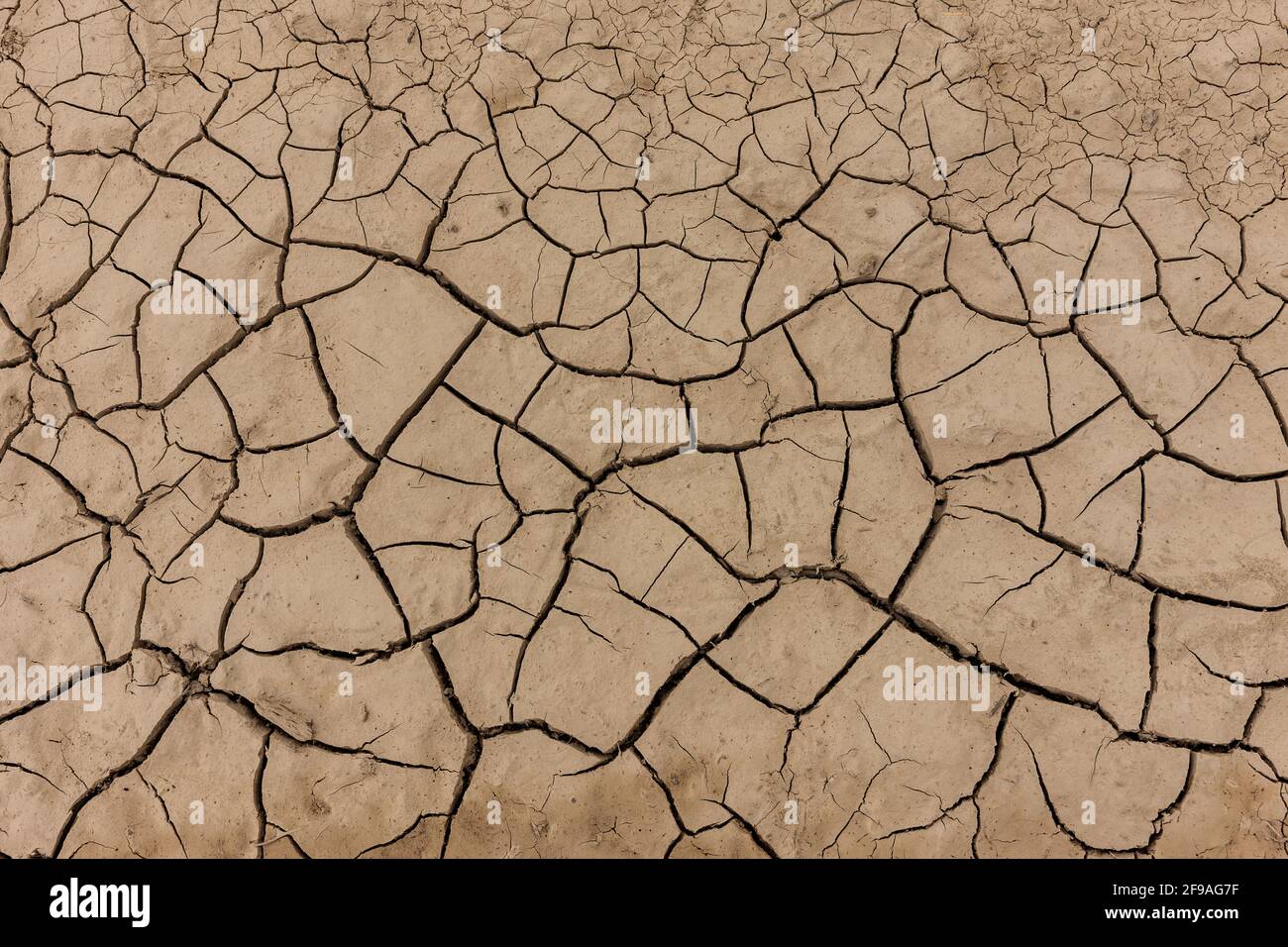 Soil textures hi-res stock photography and images - Alamy