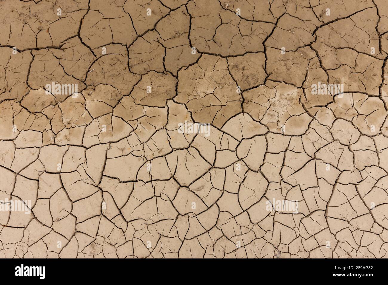 Dried out soil Stock Photo - Alamy