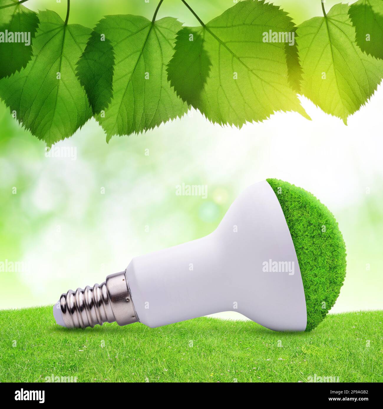 Eco LED bulb in grass. Energy saving lamp Stock Photo - Alamy