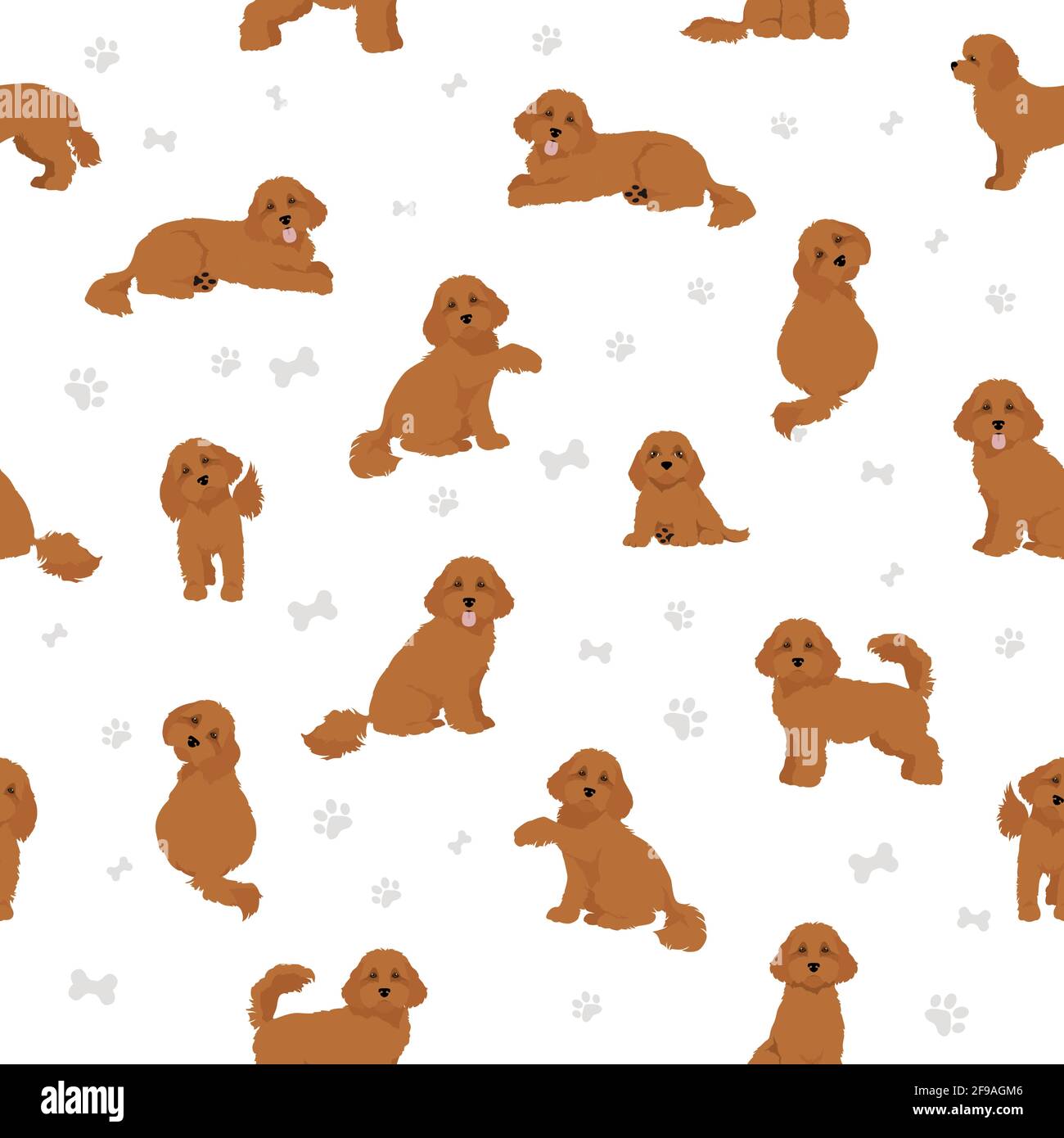 Cavapoo mix breed seamless pattern. Different poses, coat colors set ...