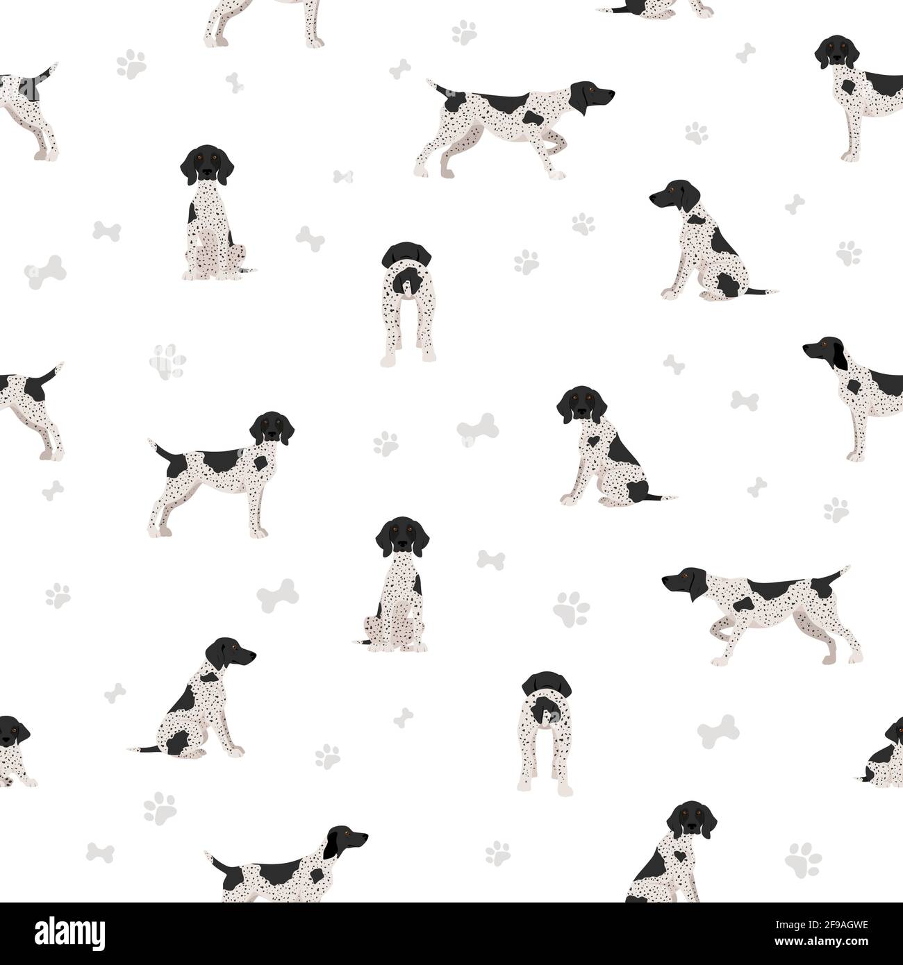 German shorthaired pointer seamless pattern. Different poses, coat ...