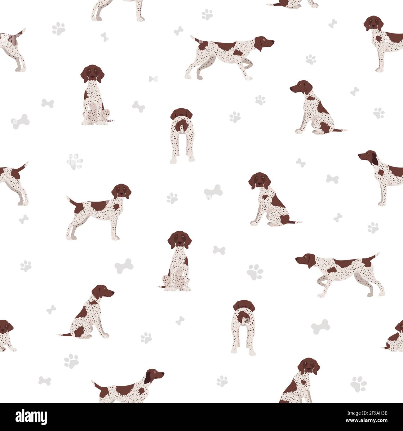 German shorthaired pointer seamless pattern. Different poses, coat ...