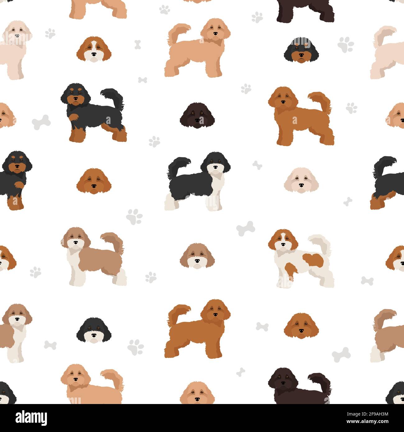 Cavapoo mix breed seamless pattern. Different poses, coat colors set ...
