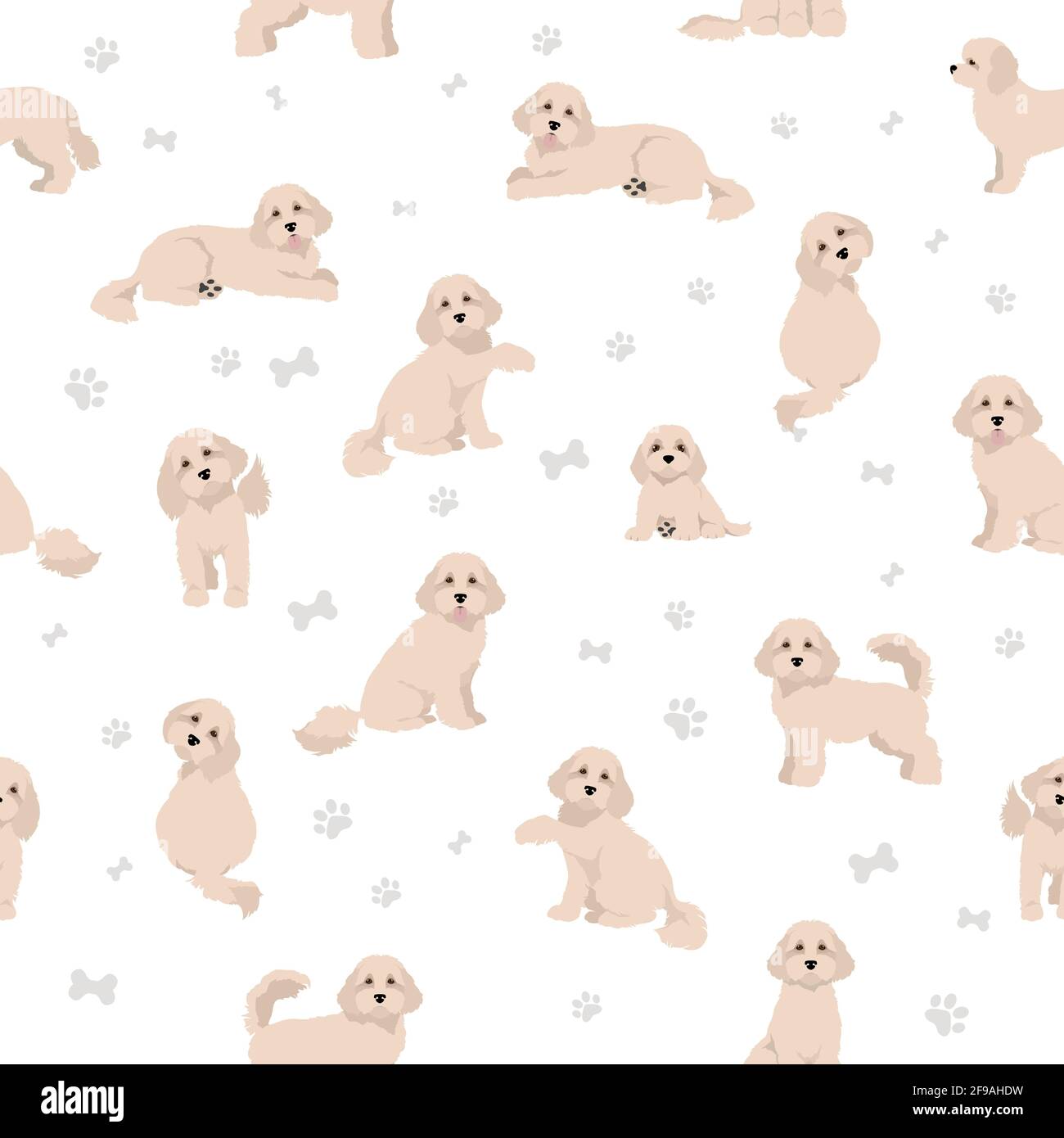 Cavapoo mix breed seamless pattern. Different poses, coat colors set ...