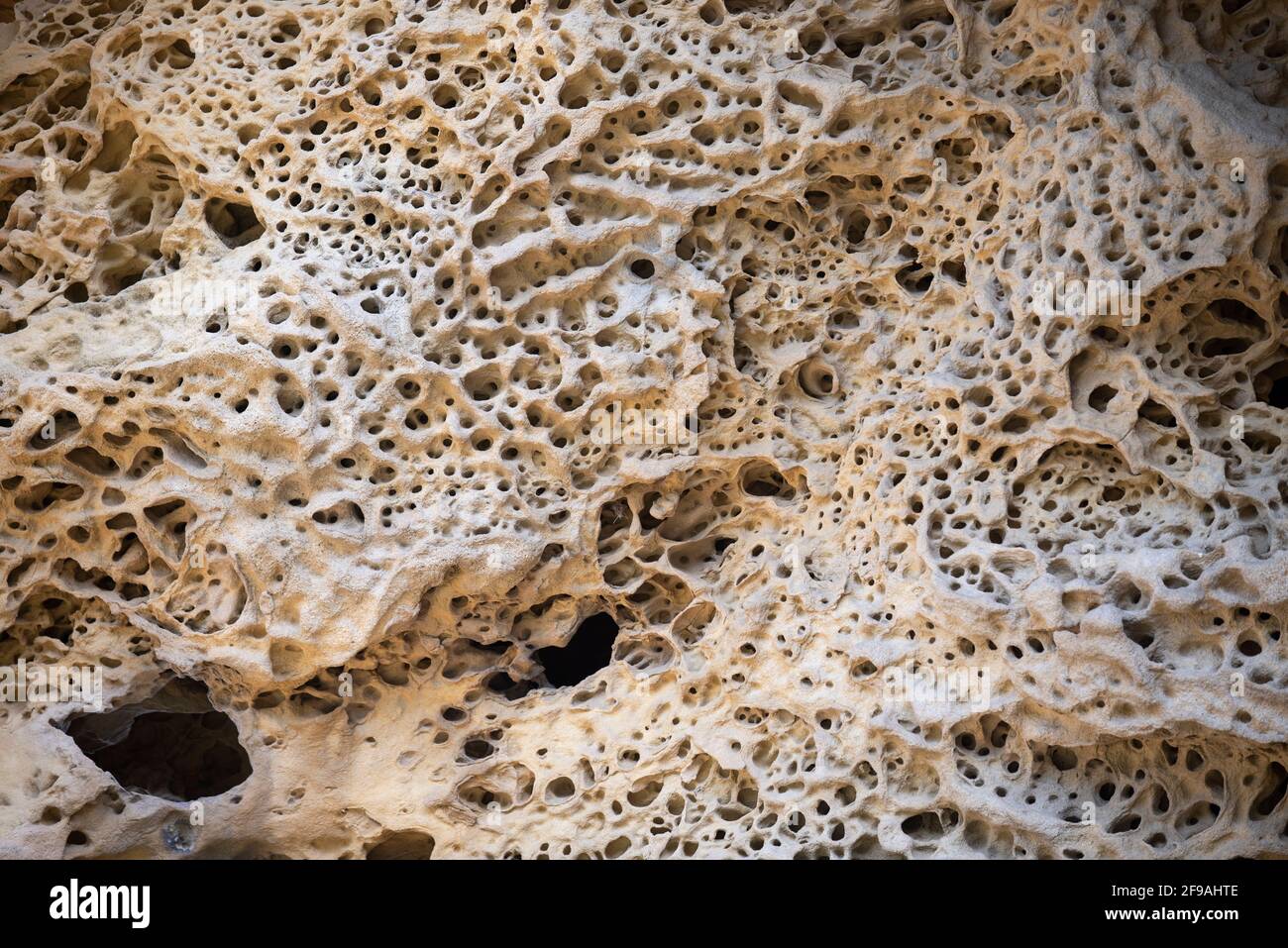 weather-eroded stone textures on the coast Stock Photo - Alamy