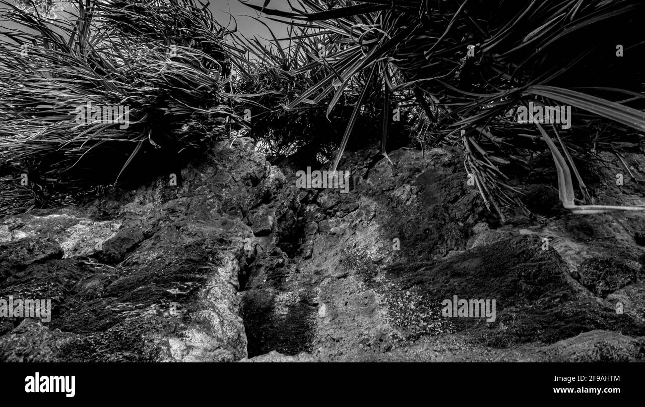 the cliff in the photo from below with a black and white image Stock ...