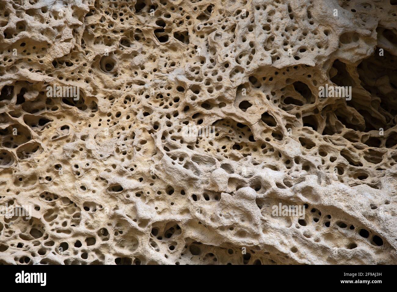 weather-eroded stone textures on the coast Stock Photo - Alamy