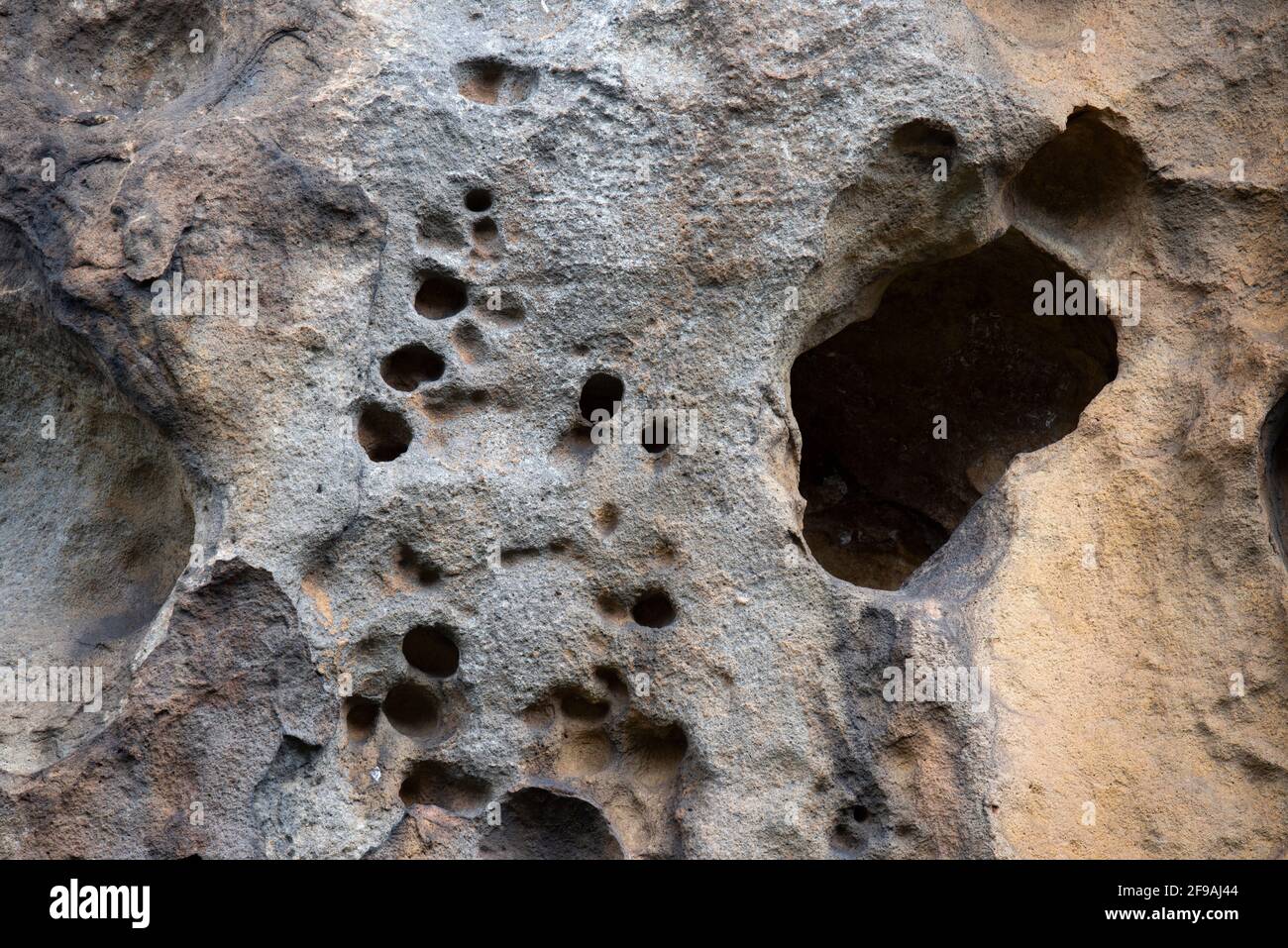 weather-eroded stone textures on the coast Stock Photo - Alamy