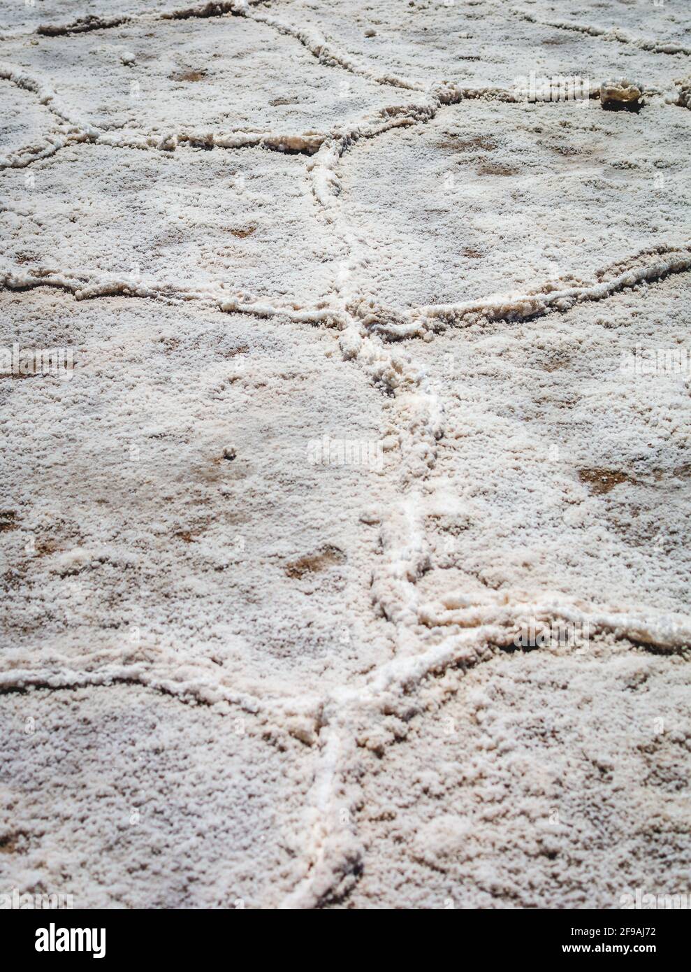 Salt flat hexagons details Badwater Basin in Death Valley, California ...