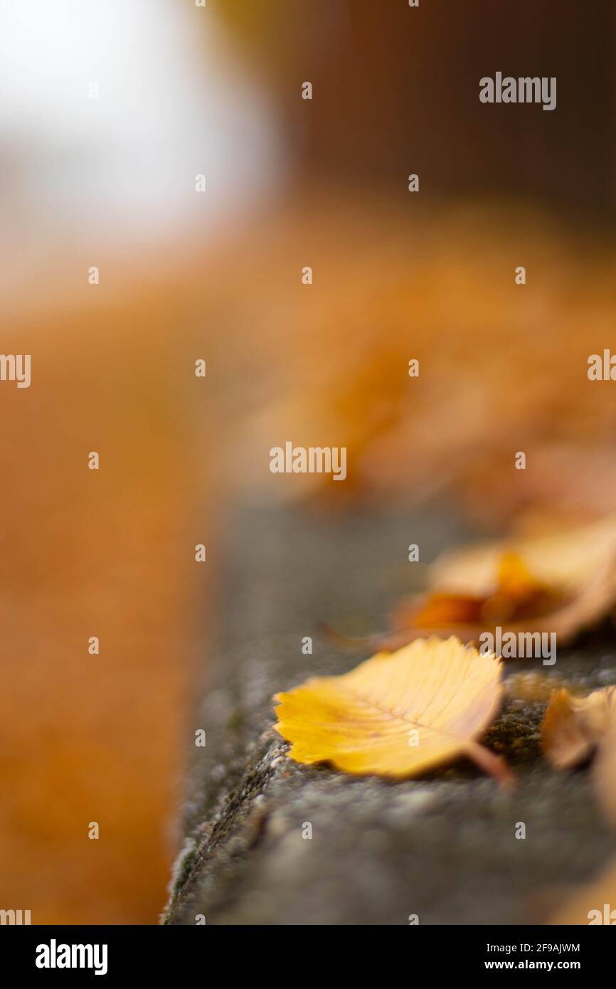 Out of focus unfocused hi-res stock photography and images - Alamy