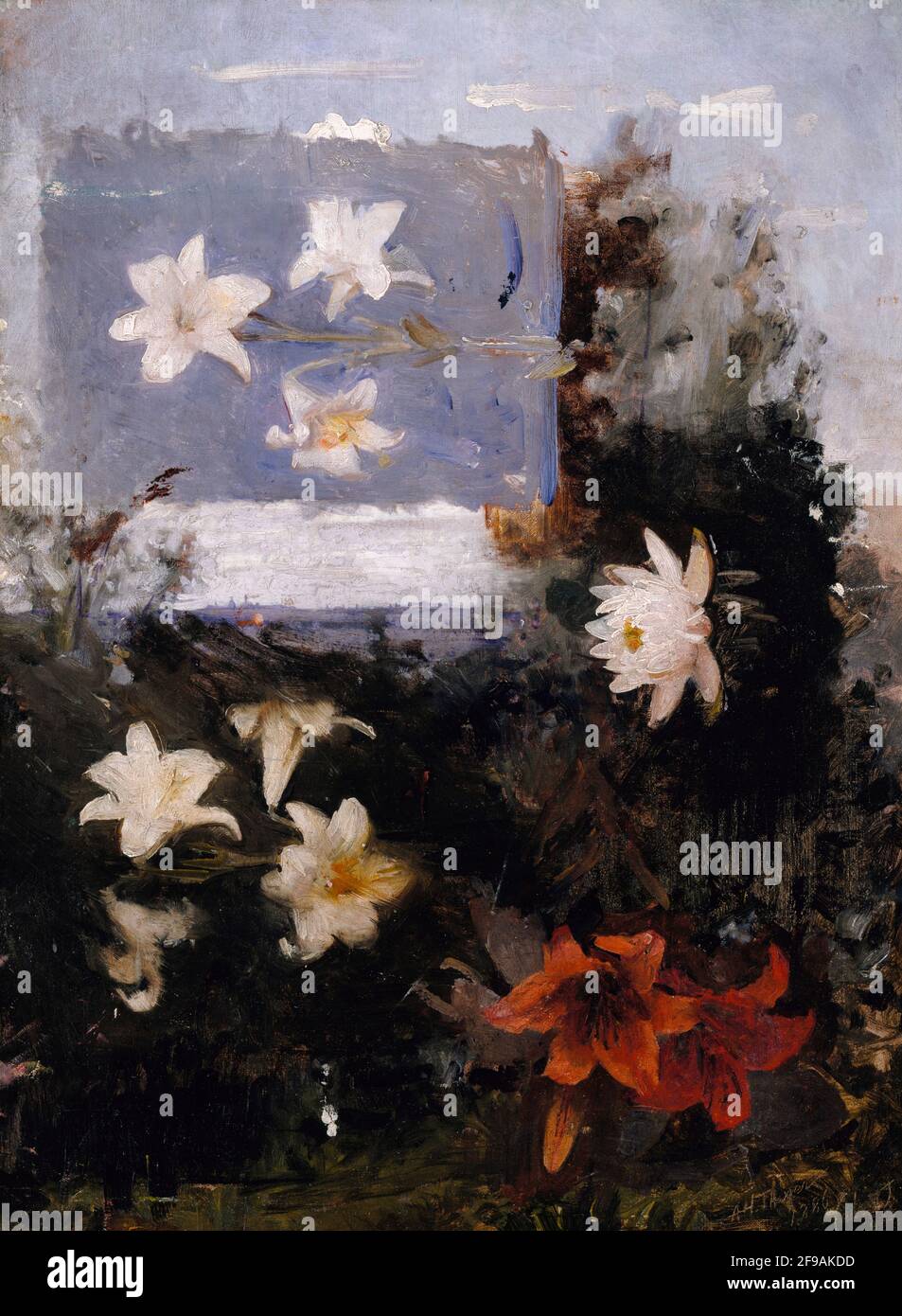 Educational plant studies hi-res stock photography and images - Alamy