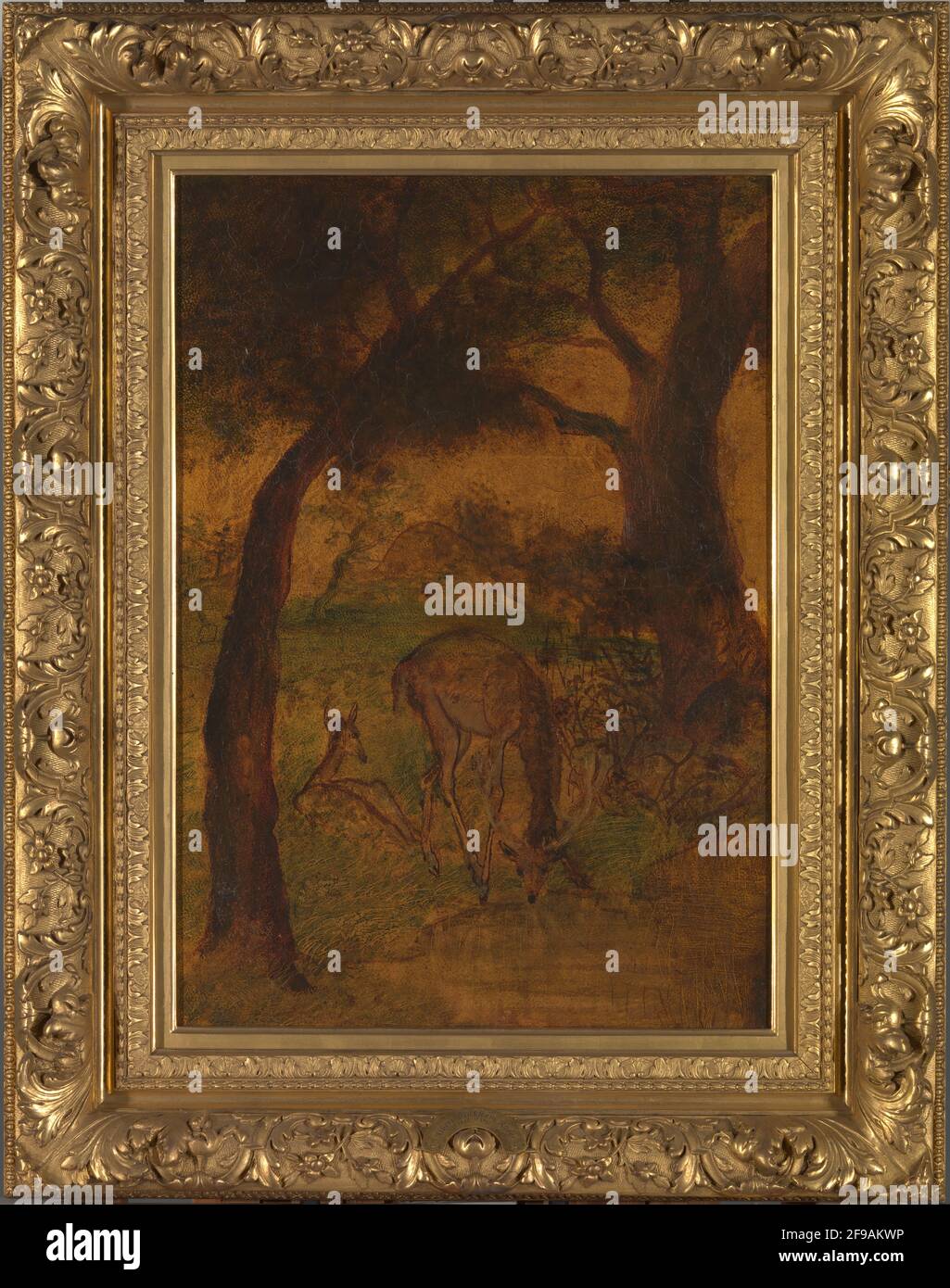 A Stag Drinking, ca. 1870s Stock Photo - Alamy