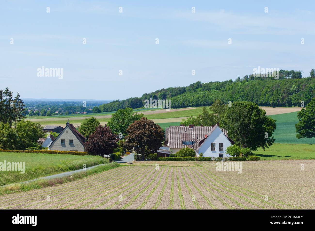 Residential buildings, Haldem, municipality of Stemwede, North Rhine ...