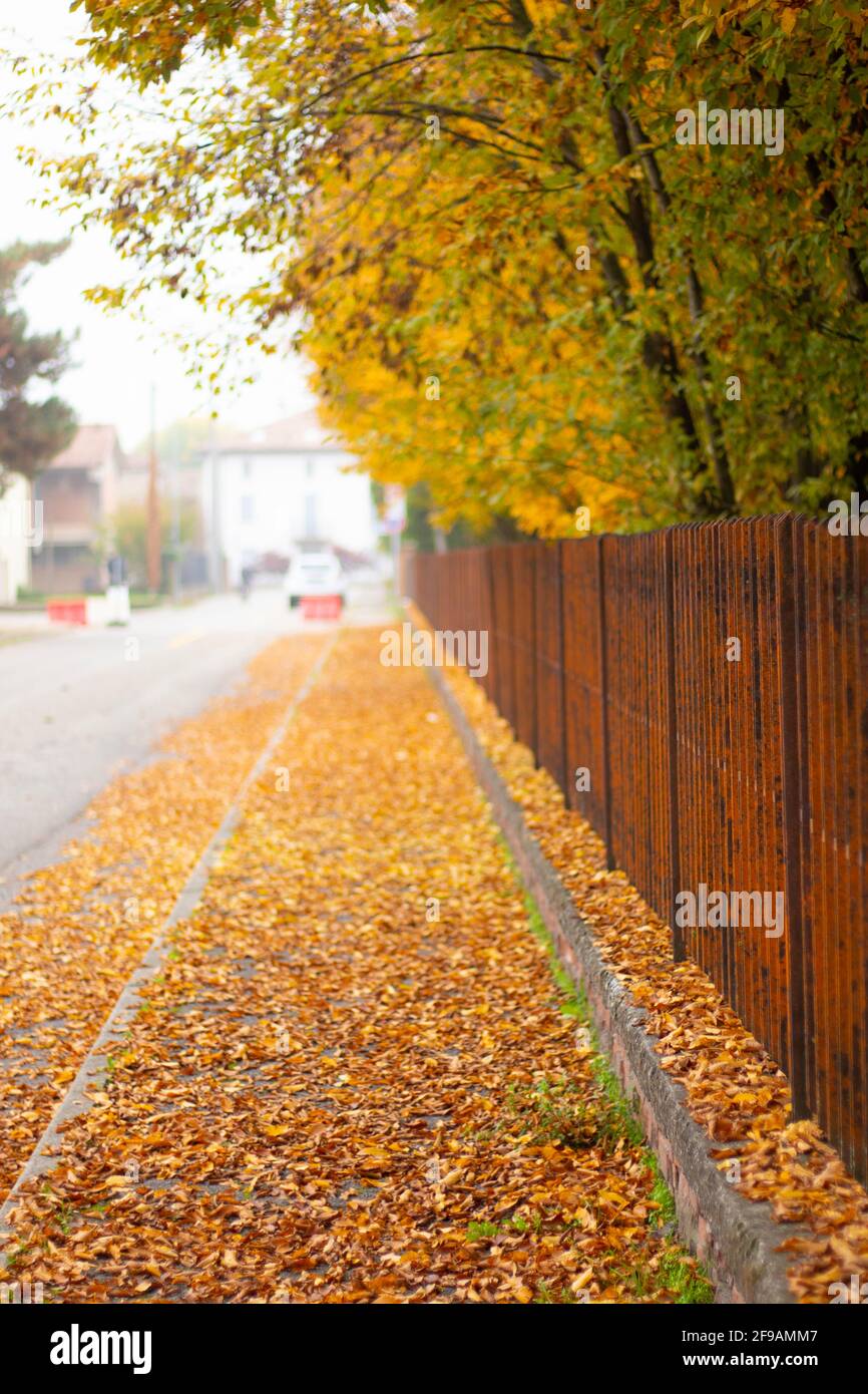 Sidewalk covered in fall leaves hi-res stock photography and images - Alamy
