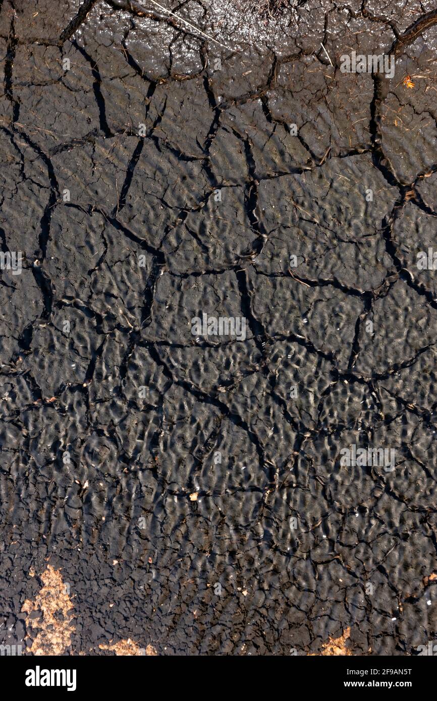 Soil fissures hi-res stock photography and images - Alamy