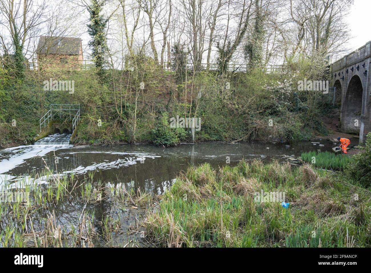 Man checking the water quality of a pond Stock Photo - Alamy