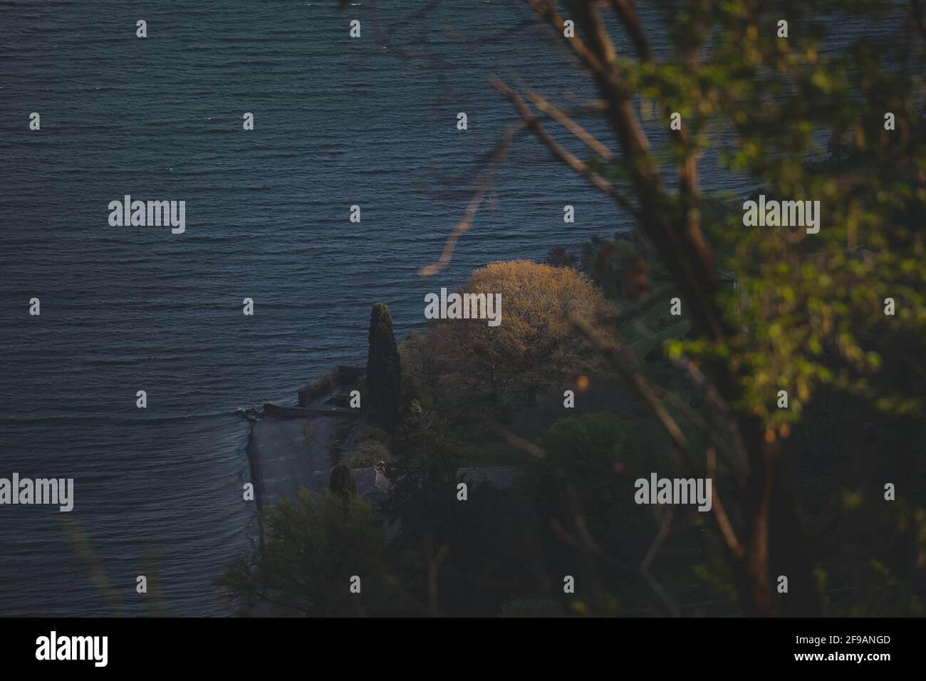 Top view on lake forest hi-res stock photography and images - Alamy