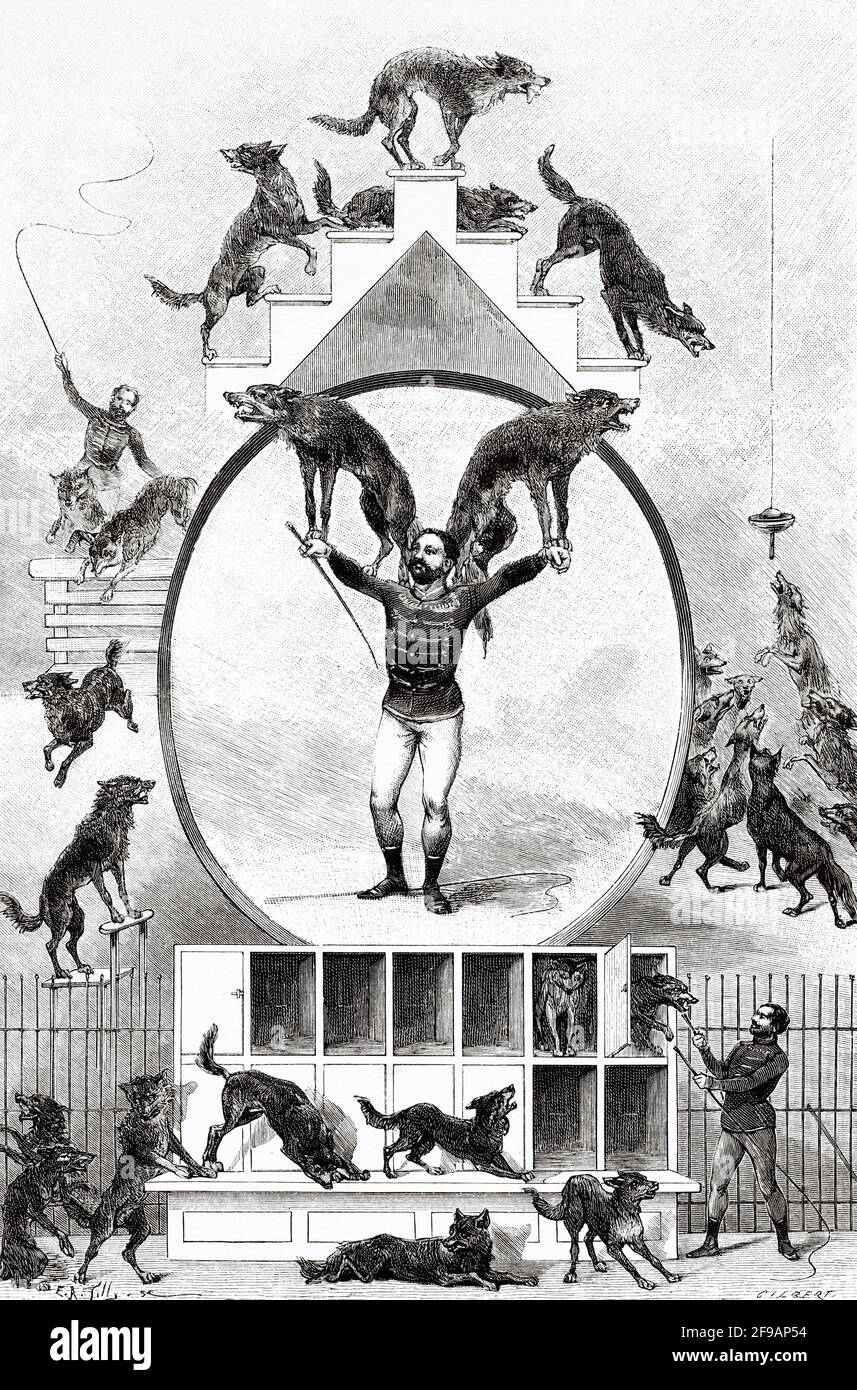 Circus performer 1800s hi-res stock photography and images - Alamy