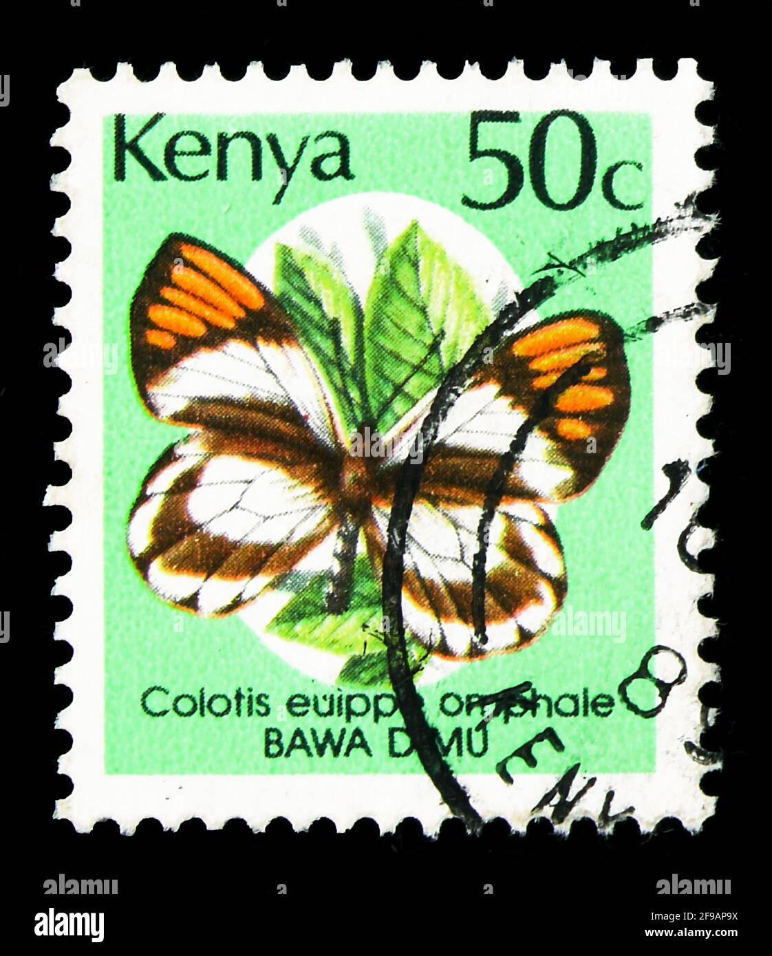 Colotis hi-res stock photography and images - Alamy