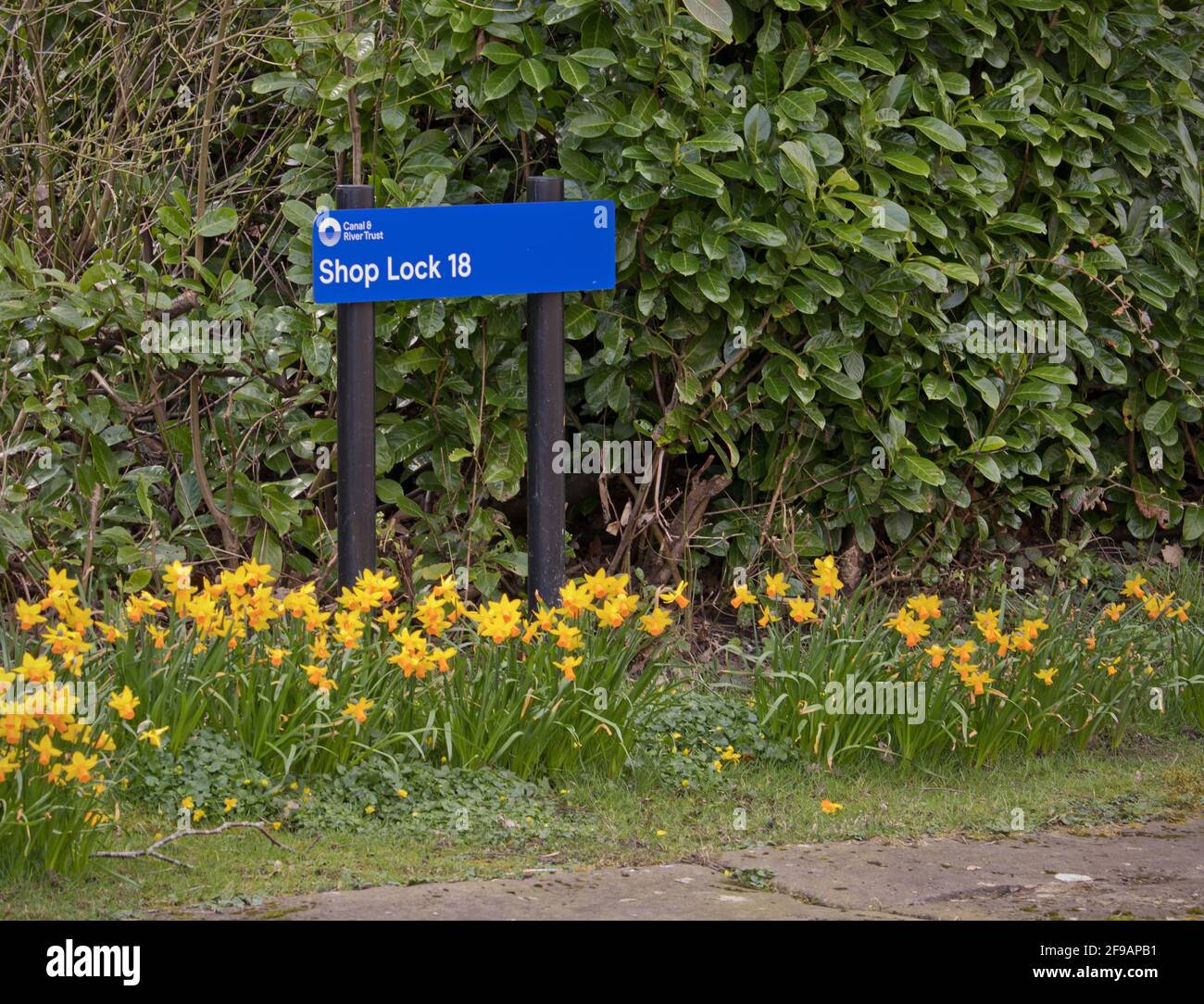 The canal sign for Shop Lock 18, at Todmorden, surrounded by trees and ...