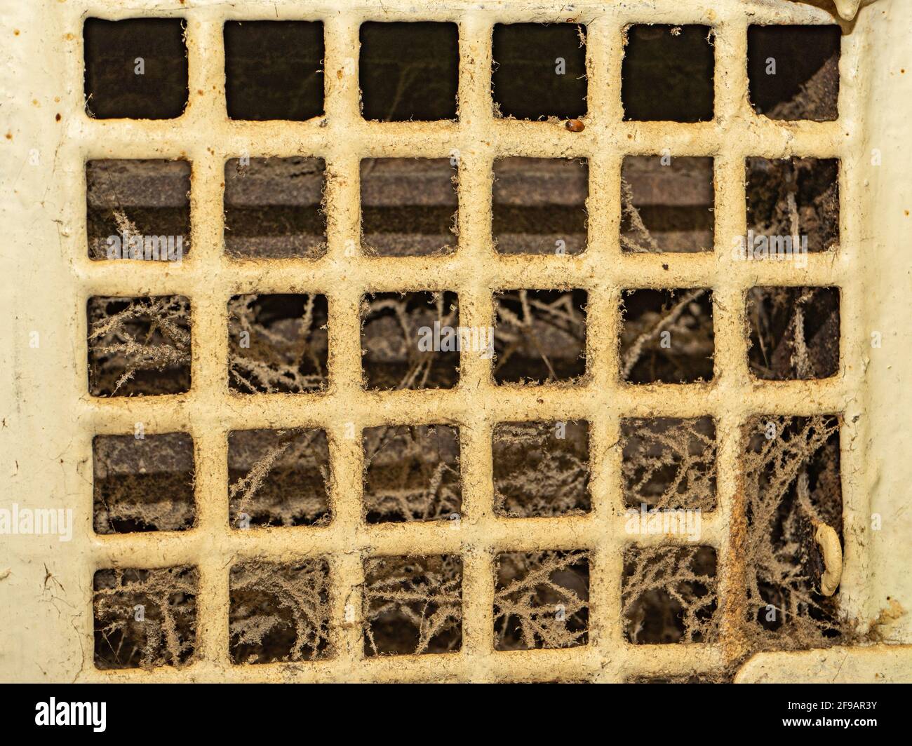 The ventilation grill in the apartment is clogged with dust, cobwebs ...