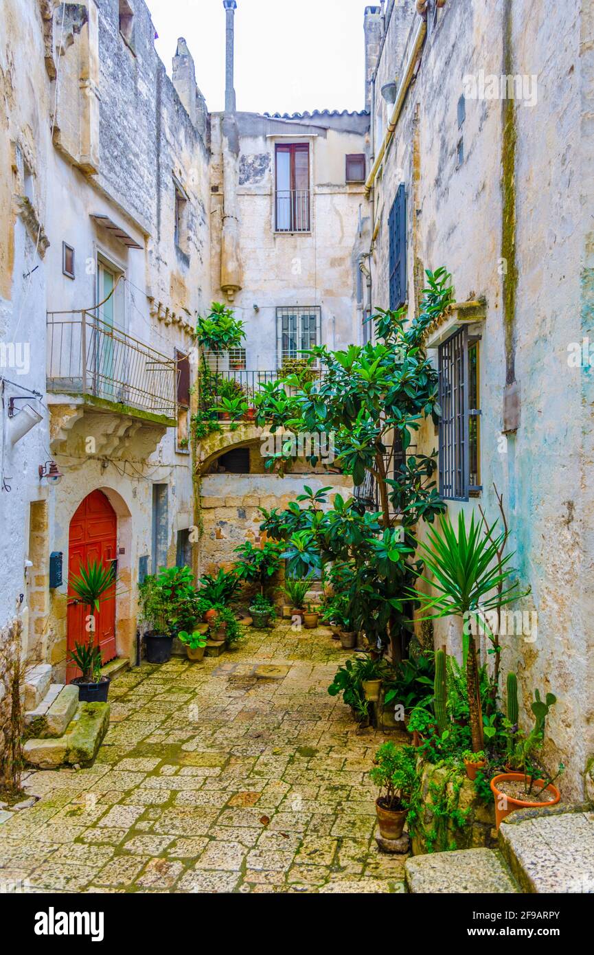 Altamura Man High Resolution Stock Photography and Images - Alamy