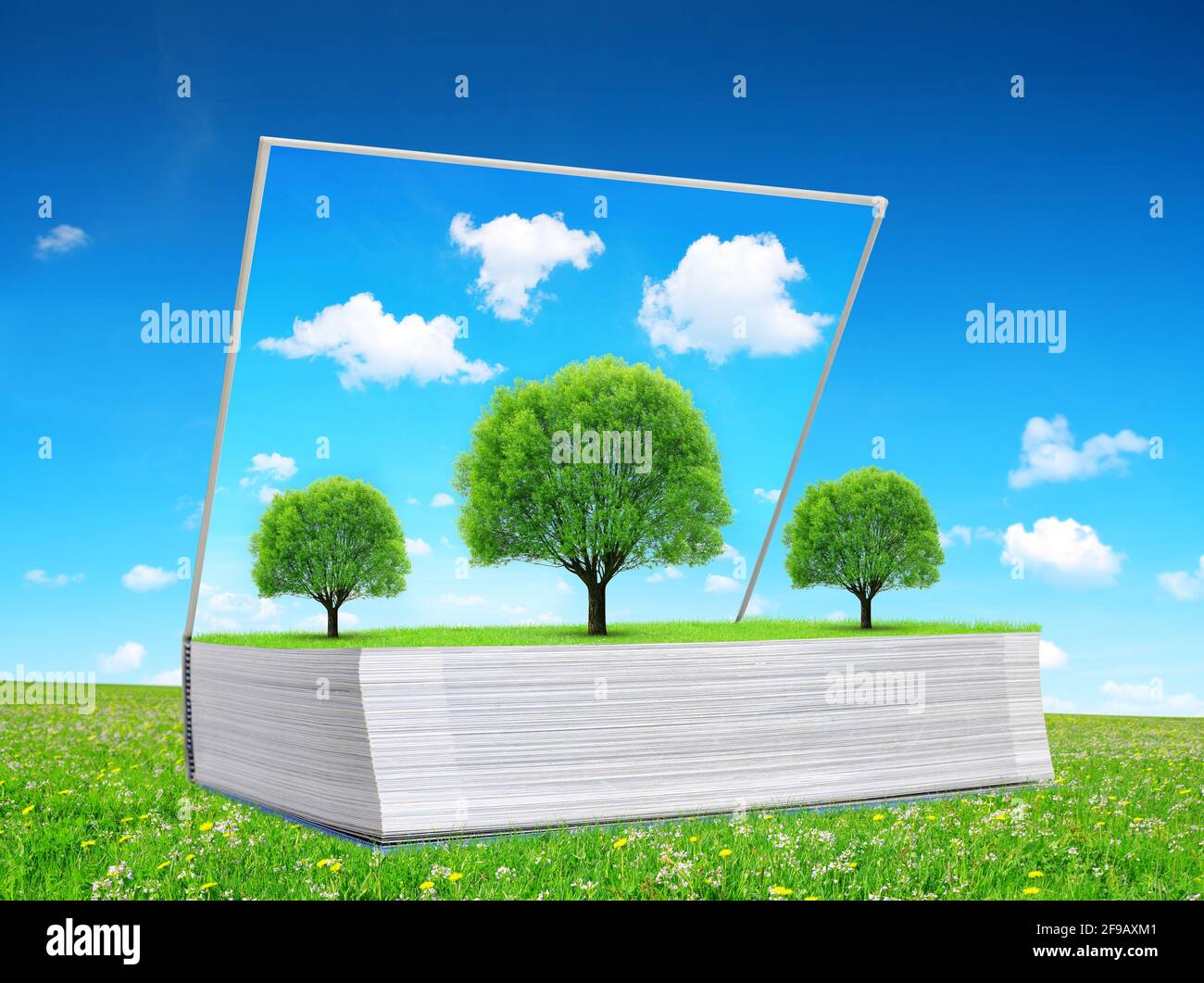 Open book of nature with trees on meadow. Ecological concept Stock ...